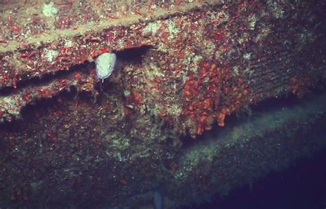Missing Submarine Found 83 Years After It Was Torpedoed In Wwii Battle Cbs News