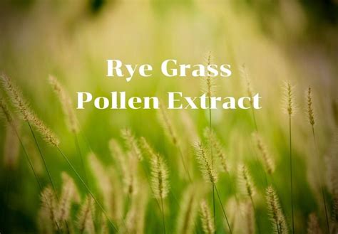 Rye Grass Pollen Extract Happy Pollitin