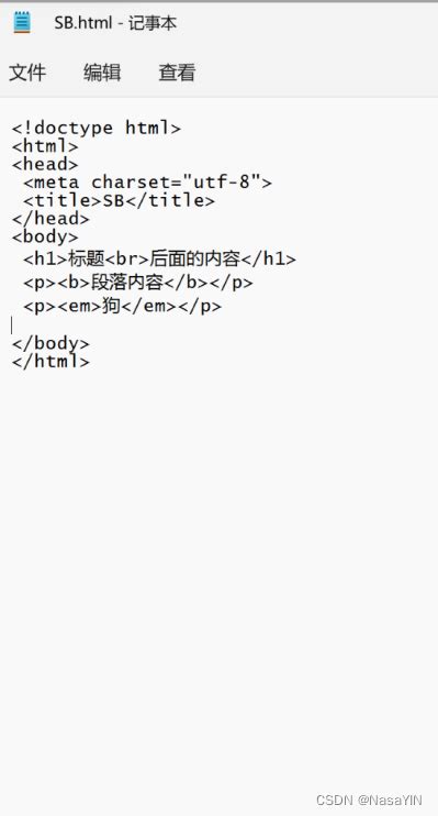 html的基础 csdn博客