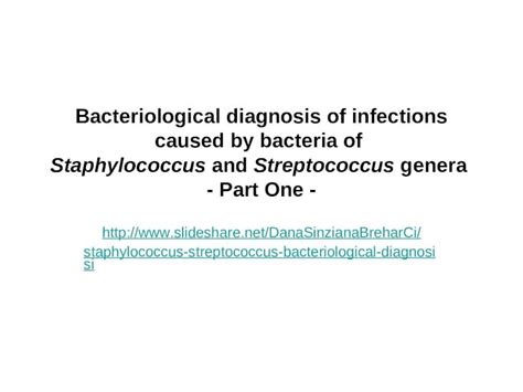 Ppt Staphylococcus Streptococcus Bacteriological Diagnosis I