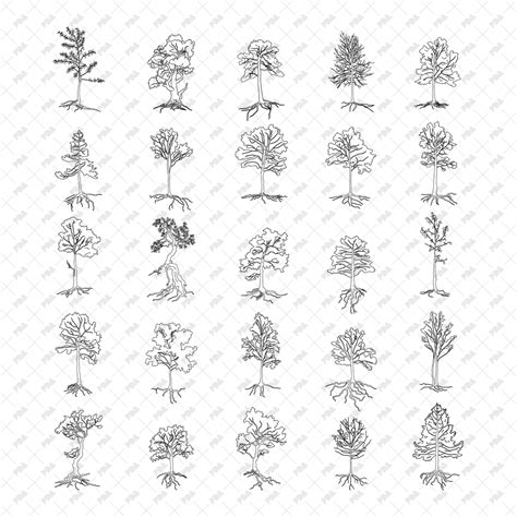 Cad Vector Trees With Roots In Color And Bw