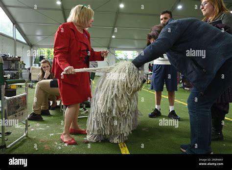 New York Usa 09th May 2023 Handler Janette Capolo Stands Next To