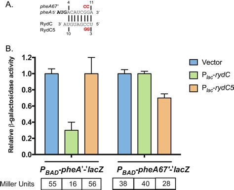 Srna Target Prediction Organizing Tool Spot Integrates Computational And Experimental Data To