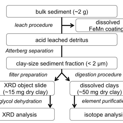 1 Schematic Overview Of The Successive Sample Preparation Procedure