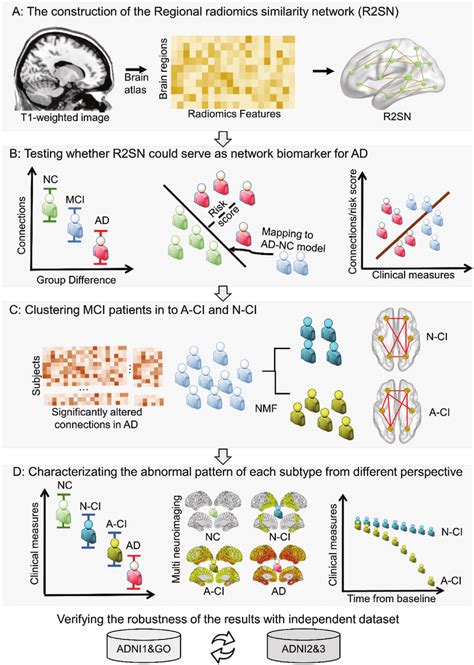 Schematic Of The Data Analysis Pipeline A The Data Were Preprocessed Download Scientific