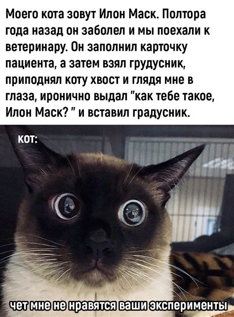 Илон Маск в шоке Пикабу