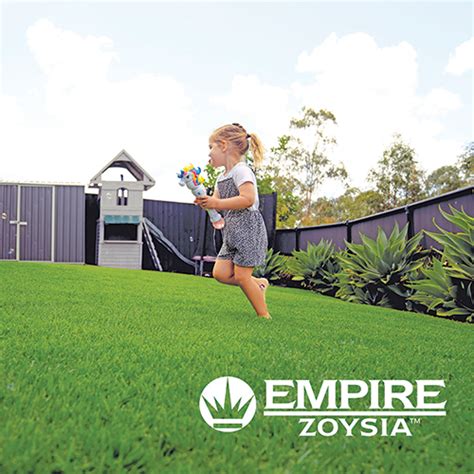 Empire Zoysia Turf Grass Western Landscape Supplies Wls