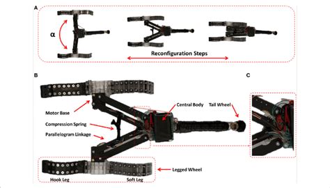 A Robot Can Reconfigure From A T To Y Shape And Vice Versa B Top Download Scientific
