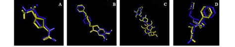 Superimposed Re Docking Poses Of A Ca Ii 3hs4 B Ache 4ey7 C