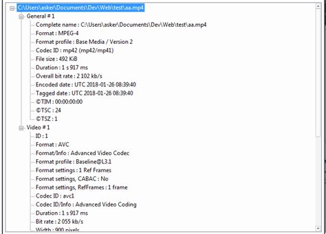 is only one ffmpeg command line format supported · issue 166