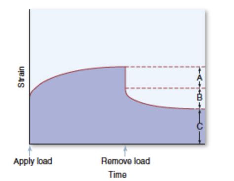 Session 5 Viscoelasticity Flashcards Quizlet