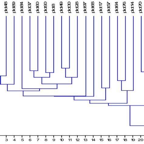 dendrogram constructed from similarity jaccard index matrix based on