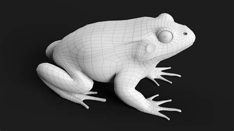 Toad Animated Model Turbosquid 2187290