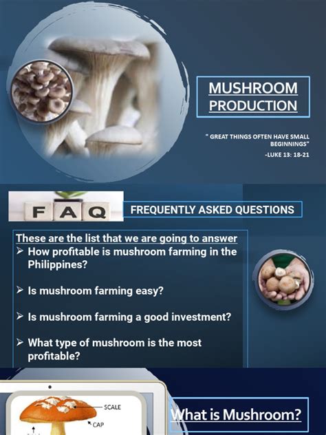 Mushroom Production And Management Pdf Edible Mushroom Agriculture