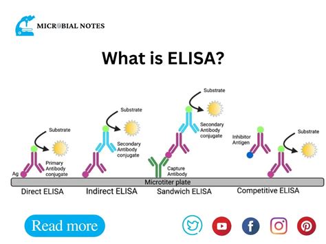What Is Enzyme Linked Immunosorbent Assay Elisa Microbial Notes