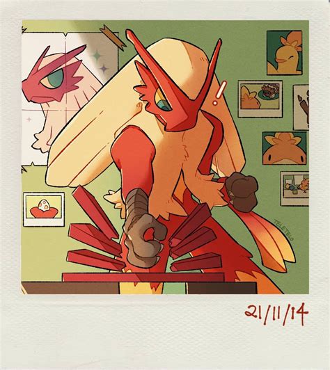 Torchic Blaziken Zigzagoon And Combusken Pokemon Drawn By Teletelo