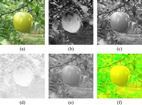 Image Enhancement Process Of Green Apple Targets Using Fuzzy Set Download Scientific Diagram