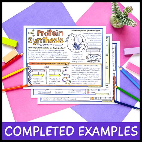 DNA Unit Doodle Notes Emmatheteachie