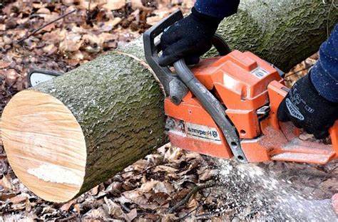 Tree Removal Experts Ballarat