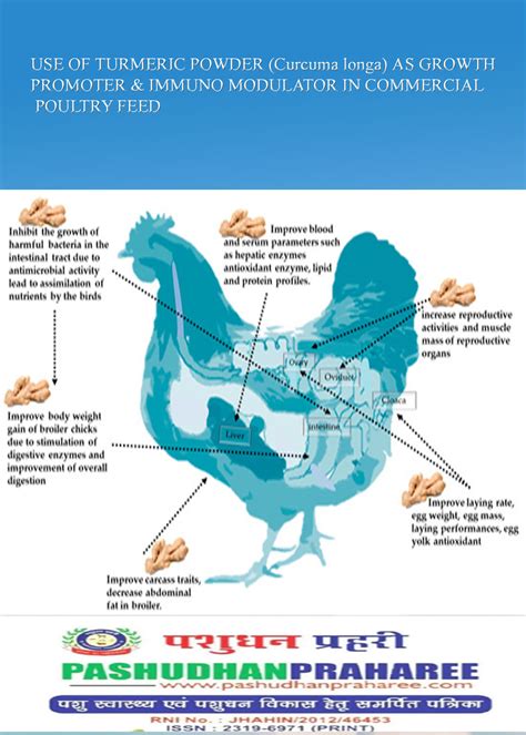 GENERAL GUIDELINES FOR FEED FORMULATION OF COMMERCIAL POULTRY BROILERS LAYERS Pashudhan