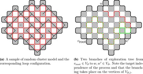 the construction of the exploration tree of the random cluster model