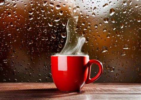 Quick History Of Java Coffee Why Is Coffee Called Java Enjoyjava