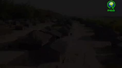 Aisha Abdullahi On Linkedin Biodiversitymatters Climateactionnow Postiveactionforclimate Pac…