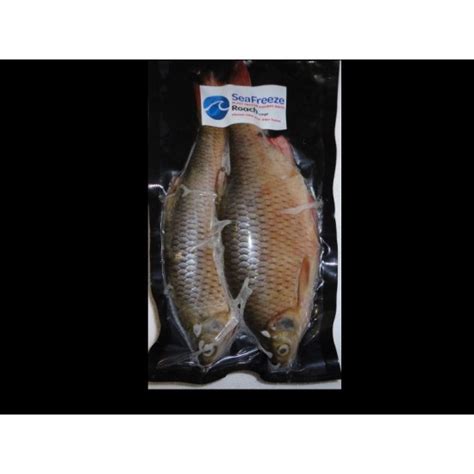 Roach Large 2 Per Packet 6 8”