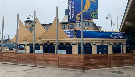 Heal The Bay Aquarium All You Need To Know Before You Go 2026 With