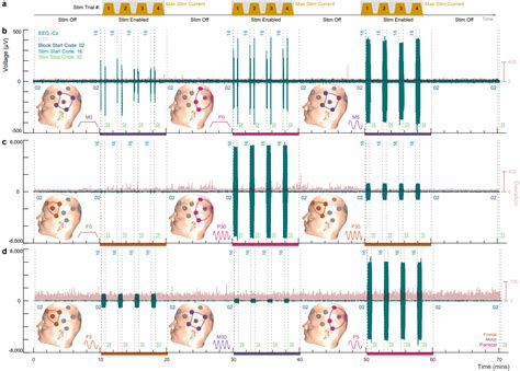 GitHub Ngebodh GX TES EEG Physio Behavior Supporting Code For The GX Dataset