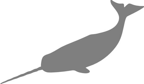 Narwhal Clip Art At Vector Clip Art Online Royalty Free