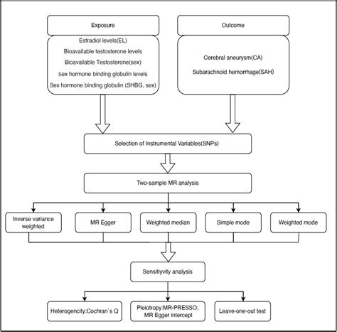 Genetic Associations Of Sex Hormones With Cerebral Aneurysm Formation