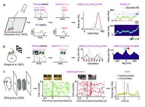 examples of foundational analysis across various electrophysiological download scientific