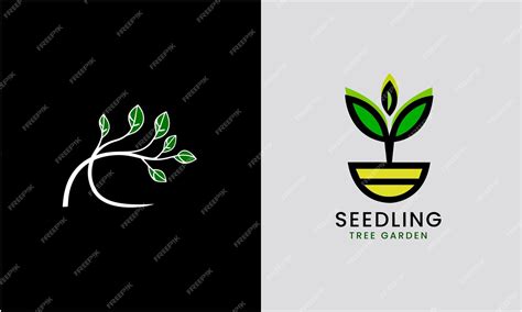 Premium Vector Tree Saplings Tub Plants Seedling Trees Tree Leaves