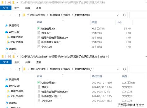 办公软件将不同位置的文件批量复制到同一个文件夹中并批量重命名和导出按钮功能高手