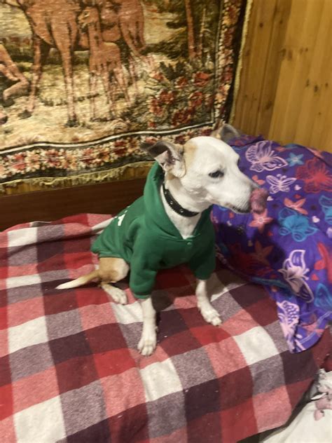 Cdc9 D18 A 3607 4949 B5 F9 567 Fc1 C8 A40 A — Postimages