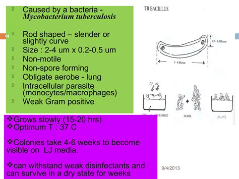 Tb Presentation Lab Diagosis Sept 2013 Ppt