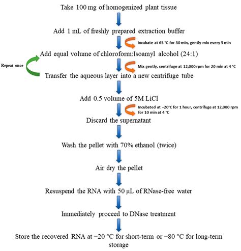 An Optimized And Cost Effective Rna Extraction Method For Secondary Metabolite Enriched Tissues