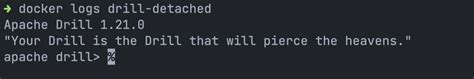 Cannot Run Dockerized Drill In Detached Mode · Issue 2790 · Apache