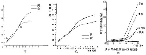 [题目]如图表示玉米种子的形成和萌发过程 请据图分析 正确的叙述是 A ①结构由胚芽 胚轴 胚根和子叶四部分组成b ②结构会出现在所有被子植物的成熟种子中c 幼苗生长过程中只需氮 磷
