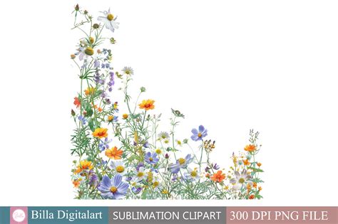 Free Wild Flowers Floral Border Clipart Graphic By Billadigitalart