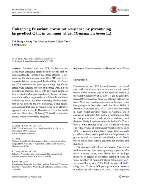 Pdf Enhancing Fusarium Crown Rot Resistance By Pyramiding Large Effect Qtl In Common Wheat