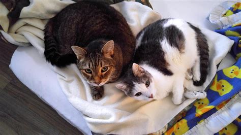 My 18 Year Olds Snuggling Next To Each Other This Morning R