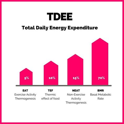 Total Daily Energy Expenditure Chart Daily Energy Boost Energy