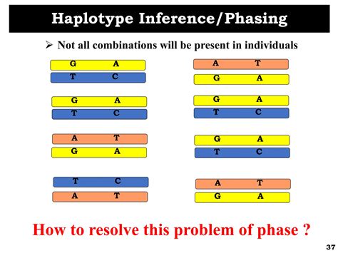 Haplotype Based Genomic Selection For Precision Plant Breeding Pptx