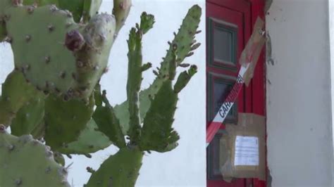 Il Caso Saman Tra Nuove Ammissioni E Misteri Irrisolti