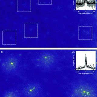 Parallel multi point correction at µm depth a Uncorrected Download Scientific Diagram