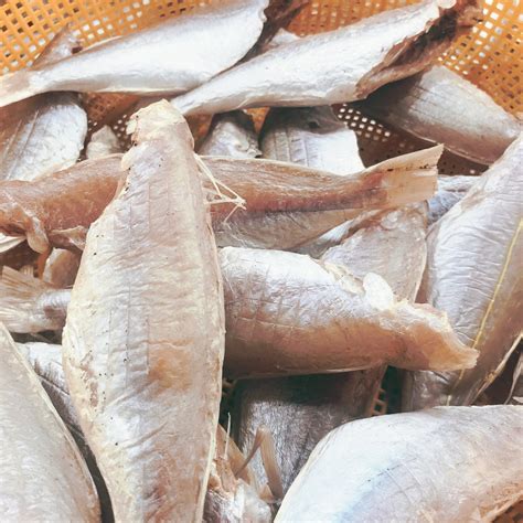 500gr Dried Dong Fish Nha Trang Dried Dong Fish Thick Meat Dong Fish