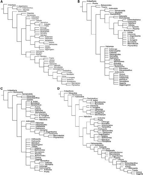 strict consensus trees for individual broad scale data sets a