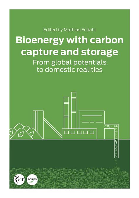 Bioenergy With Carbon Capture And Storage Fores